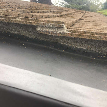 Flexim Roof Putty (10 pack) — Ashbrook Roofing Supplies LTD